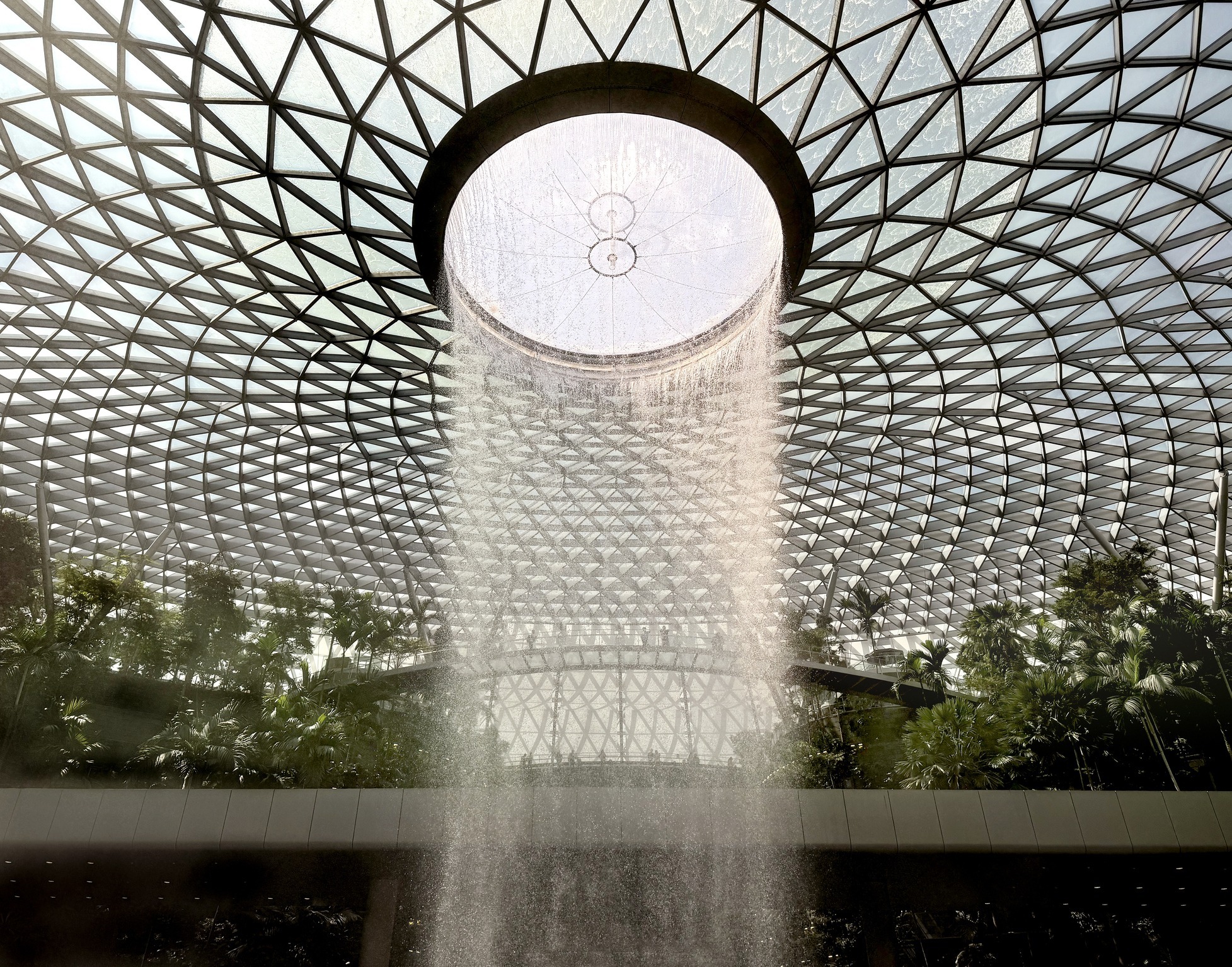 Biophilic Design in Modern Architecture: Bringing Nature Indoors
